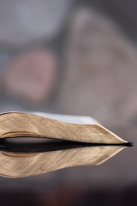 Protestantse Kerk Nederland | Protestantse Kerk in Nederland